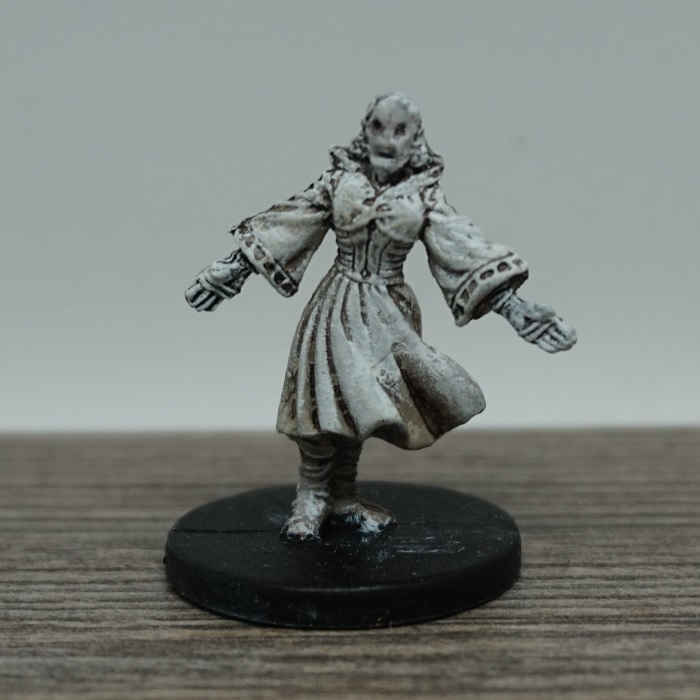 Deathlock Wight, Demonweb, D&D miniatures - Dungeons & Dice