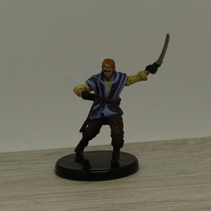 Renaer Neverember, Waterdeep Dragon Heist, D&D Miniatures - Dungeons & Dice