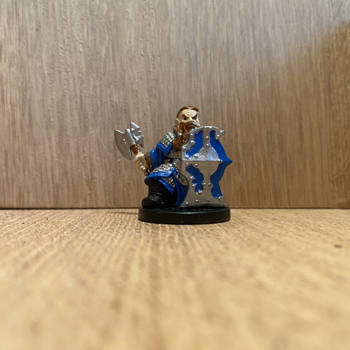 Guard of Mithral Hall, Night Below, D&D Miniatures - Dungeons & Dice