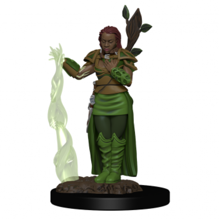 Human Druid Female, Icons of the Realms Premium Figure, WZK93009 ...