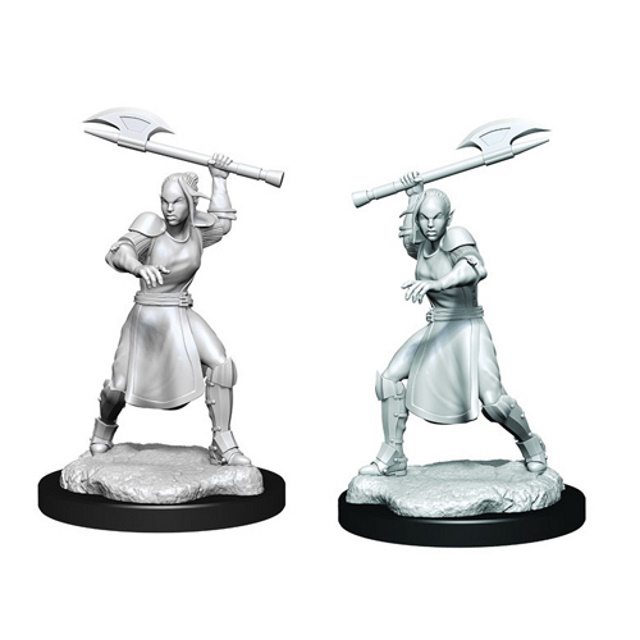 Half-Elf Echo Knight and Echo Female, Critical Role Unpainted, WZK90379 ...